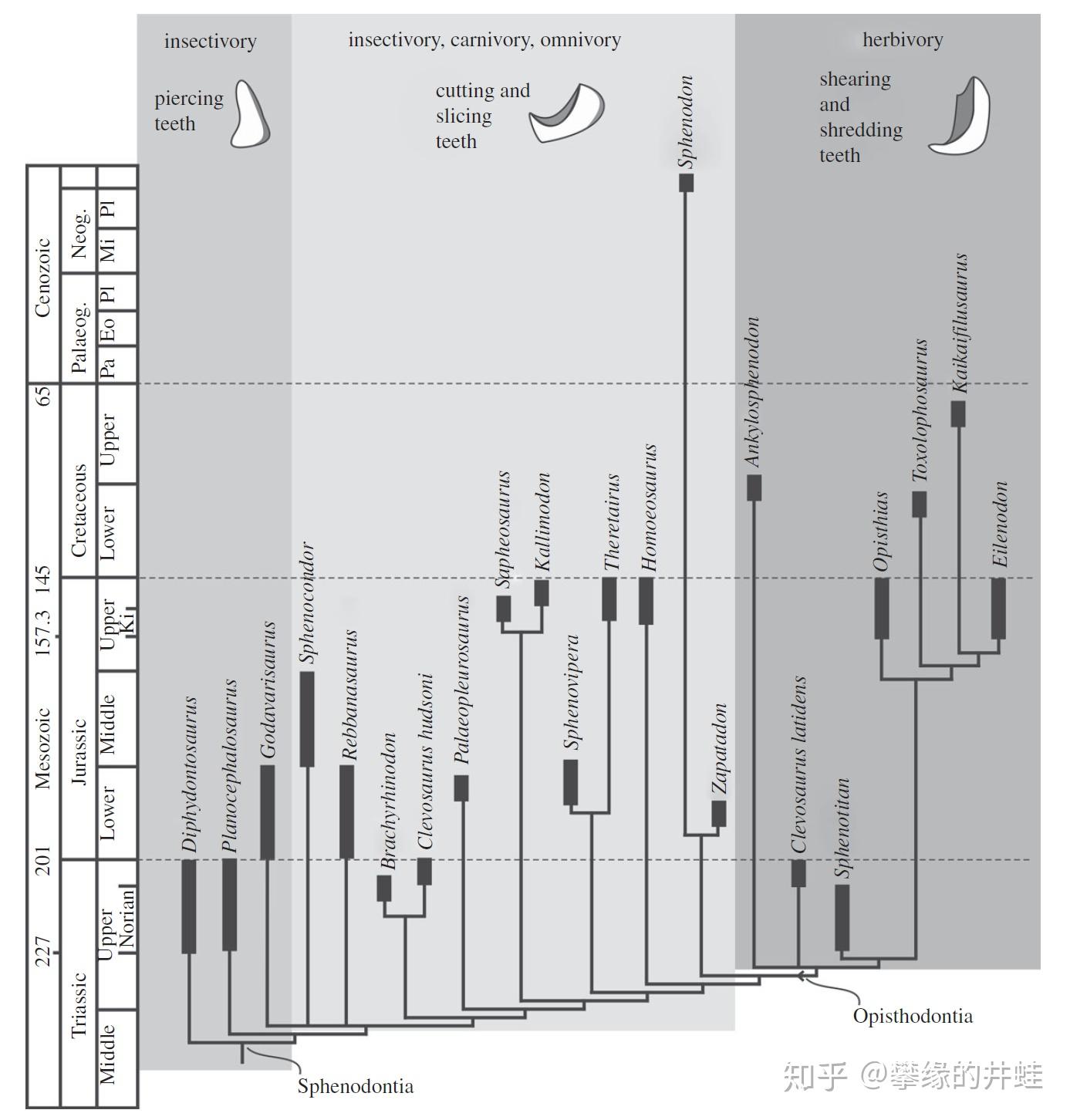 我的种族战斗力很弱一直被欺压偶尔发达几次也很快被打回原形但是适应力超强耗死了很多对手未来有可能翻身吗 - 知乎