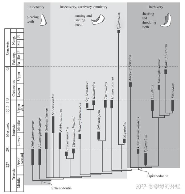我的种族战斗力很弱一直被欺压偶尔发达几次也很快被打回原形但是适应力超强耗死了很多对手未来有可能翻身吗 - 知乎