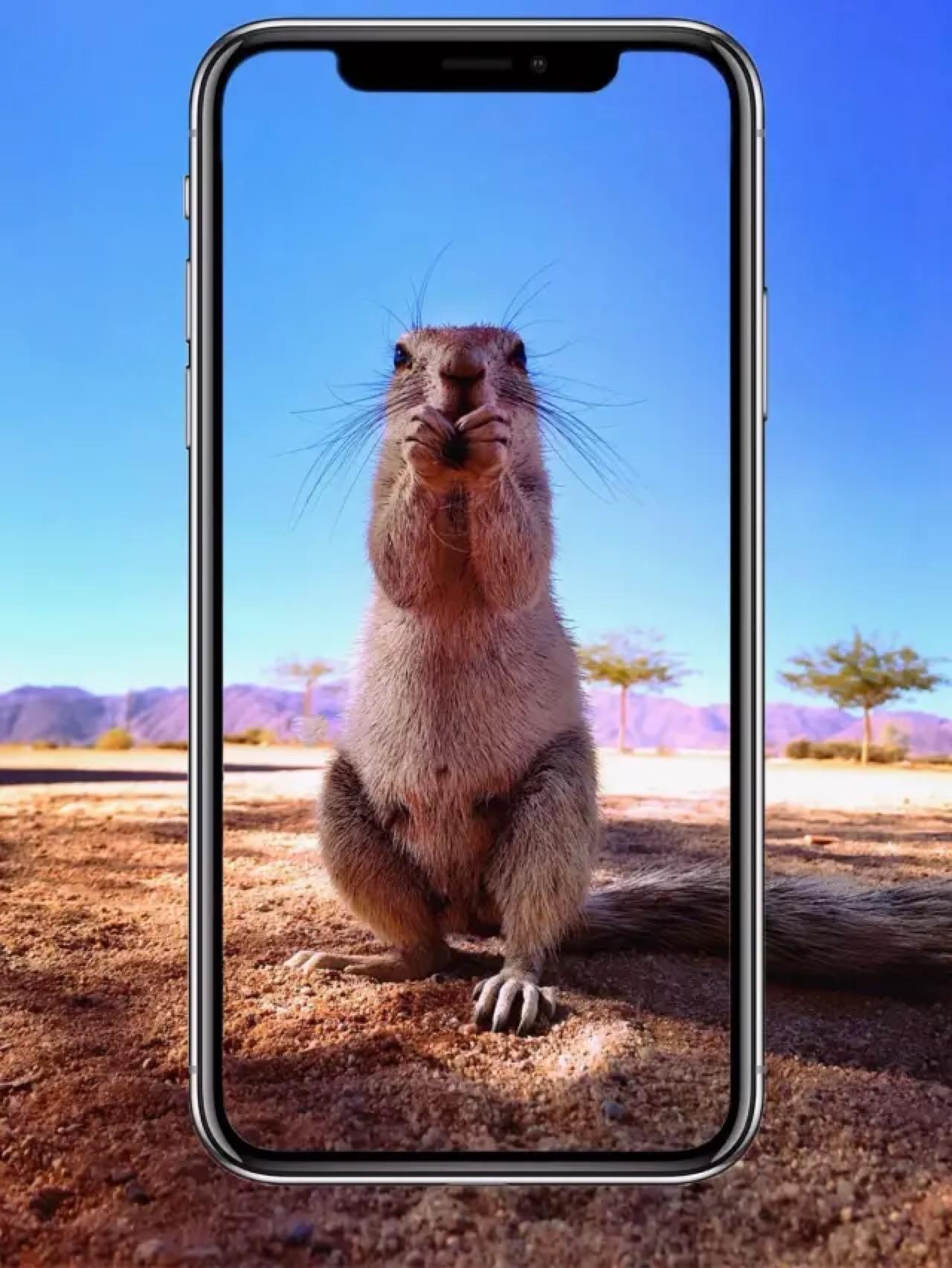 配上这些美图，iPhone X / Note 8 / MIX 2谁更好看？ | 一点图赏 - 知乎