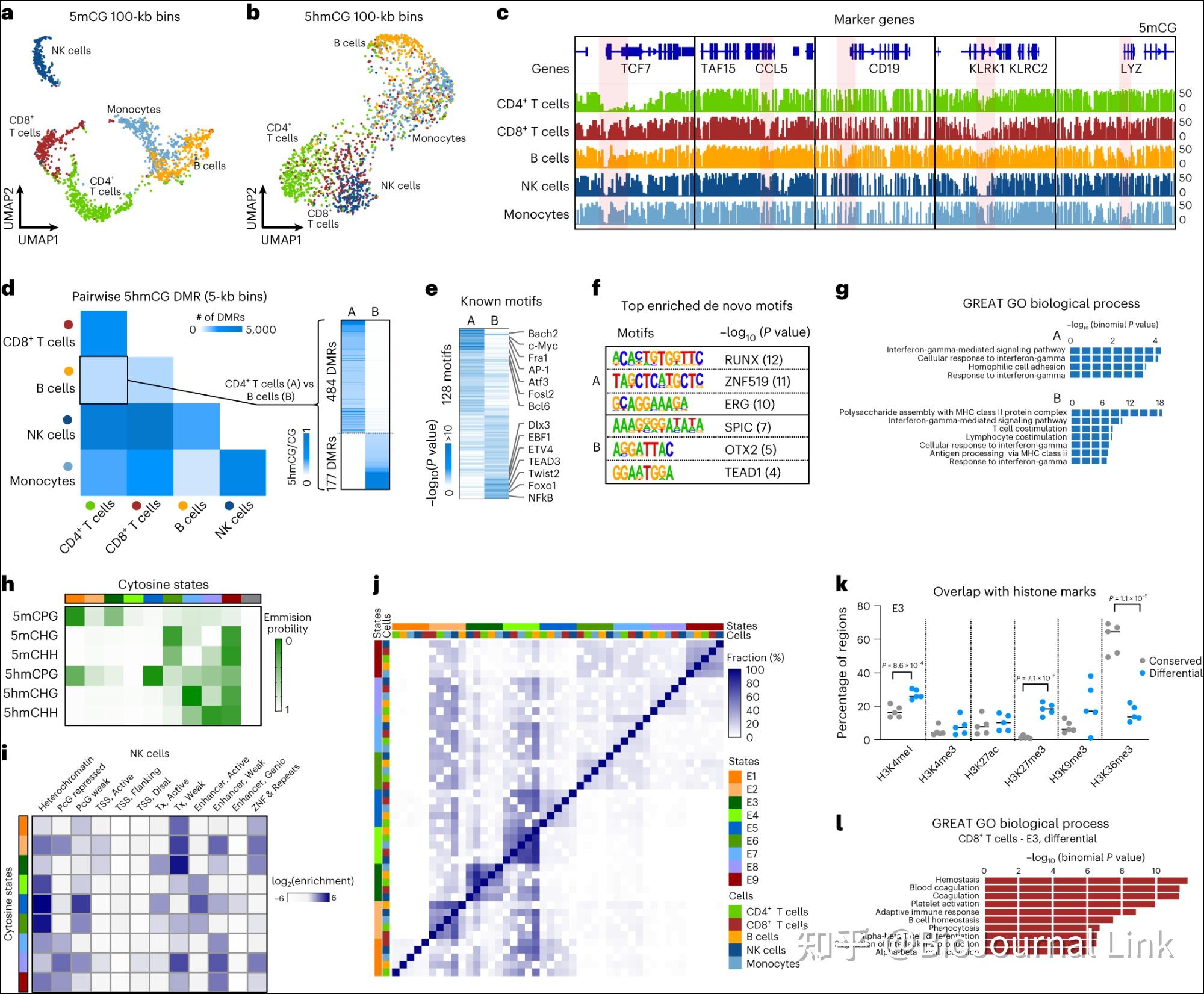 生物技术 | NatureBiotechnology | 同时单细胞分析5mC和5hmC与SIMPLE-seq - 知乎