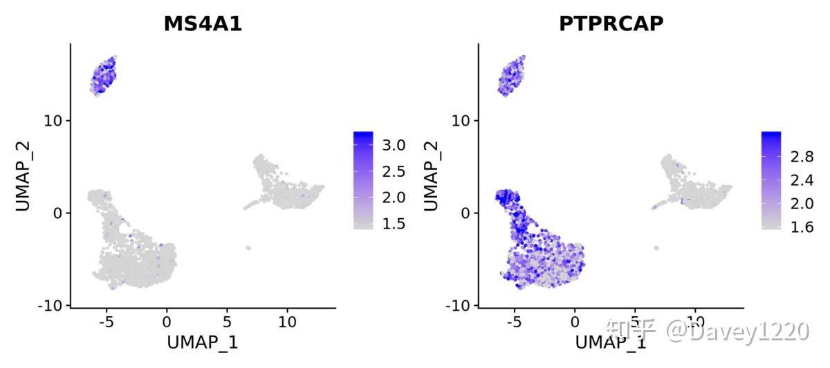 Seurat包学习笔记（十）：New data visualization methods - 知乎
