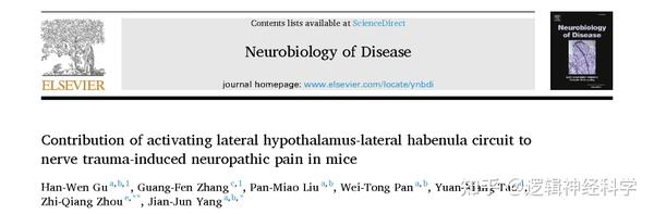 Neurobiol Dis︱郑州大学杨建军课题组揭示外侧下丘脑-外侧缰核神经环路在神经病理性疼痛中的重要作用 - 知乎