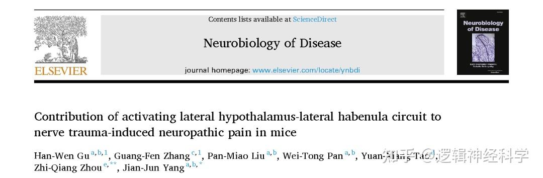 Neurobiol Dis︱郑州大学杨建军课题组揭示外侧下丘脑-外侧缰核神经环路在神经病理性疼痛中的重要作用 - 知乎