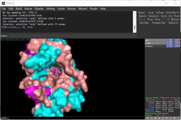 PyMOL必备绘图技巧，从此游刃有余！ - 知乎