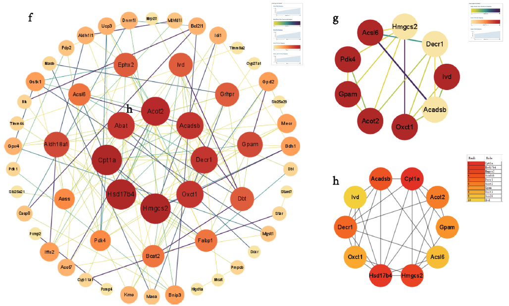 线粒体+免疫双热点齐发，在非肿瘤中表现强劲！简单的生信分析+实验验证直接拿下8分+，干湿结合思路模仿它就对了~ - 知乎
