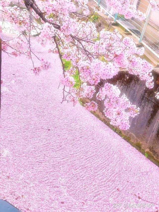 TOD模式的光环 造就日本城市之巅【深度TOD】 - 知乎