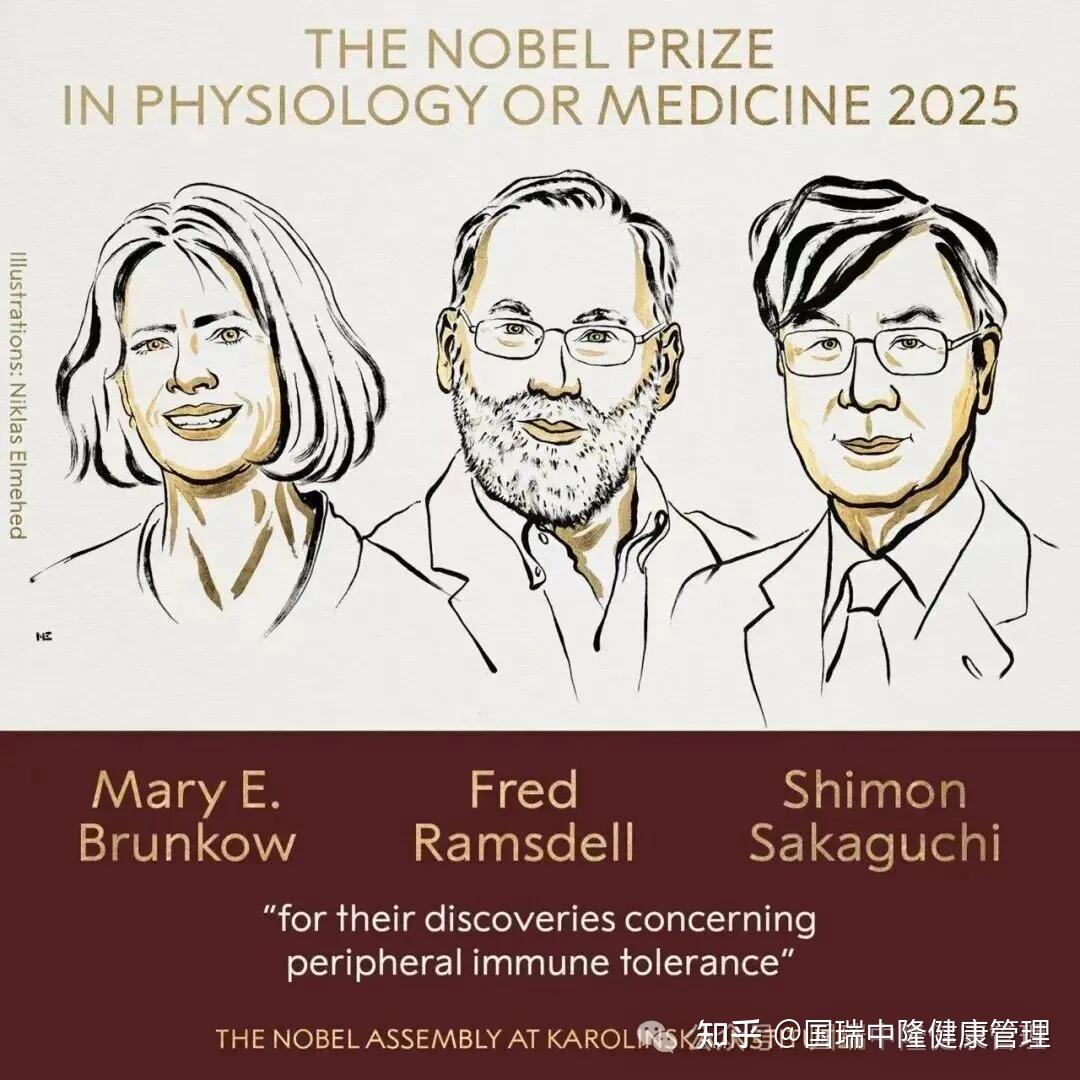 免疫系统的“安全卫士”：2025年诺贝尔生理学或医学奖解读——调节性T细胞（Treg）的发现如何重塑人类健康未来 - 知乎