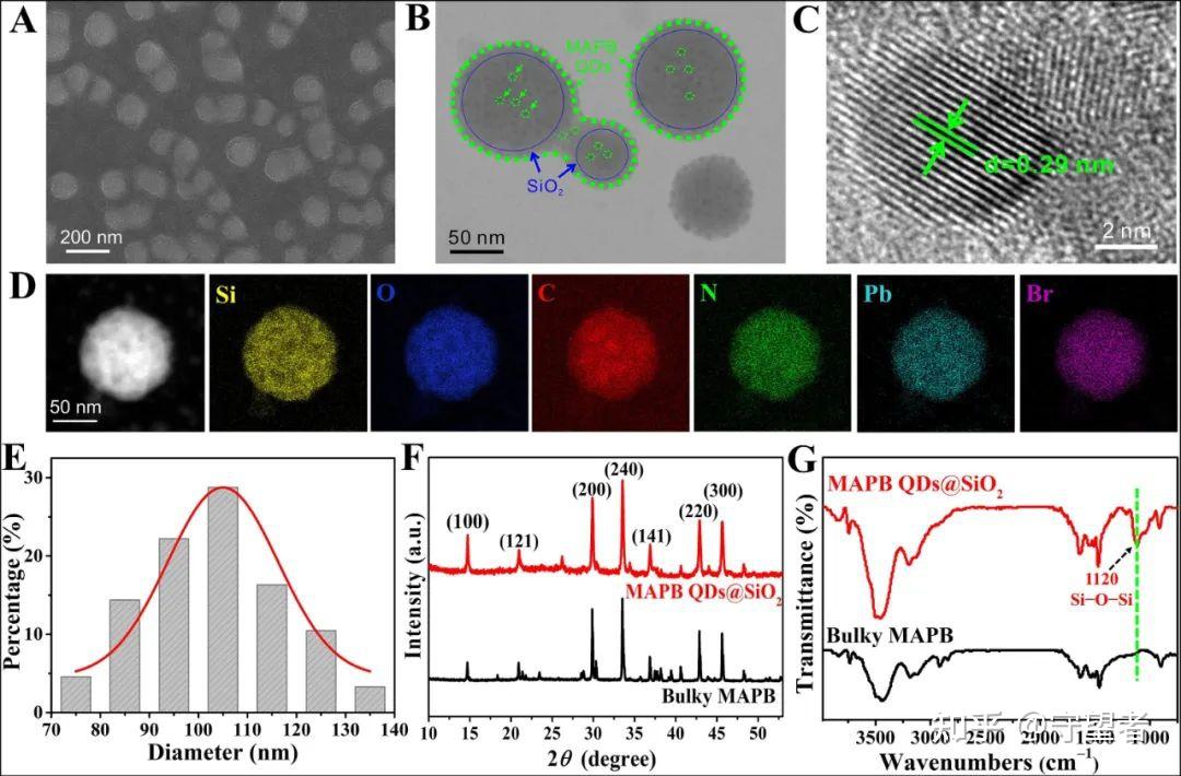 Food Chemistry：开发一种ECL传感器用于检测玉米油中的黄曲霉毒素B1 - 知乎