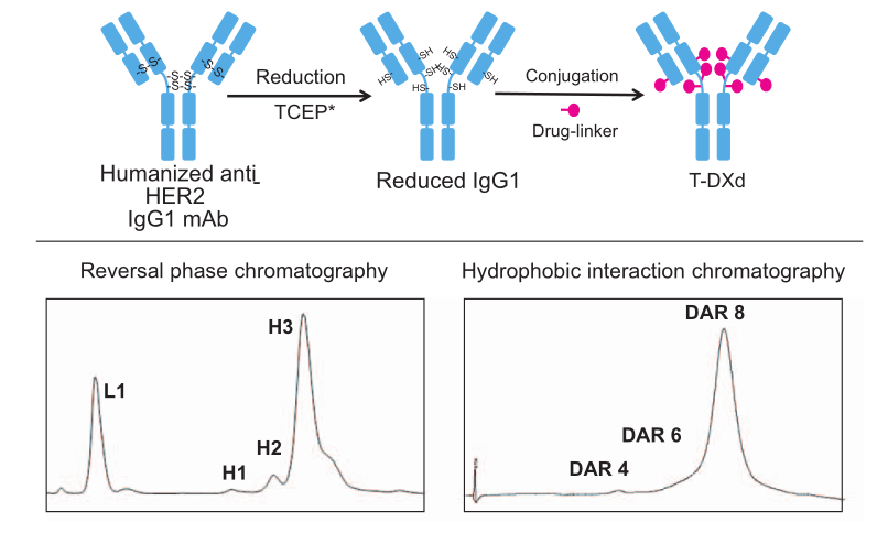 回顾“神药T-DXd（DS-8201）”的研发历程 - 知乎