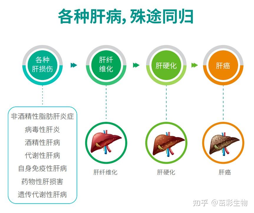 高尔基蛋白73(GP73) - 知乎