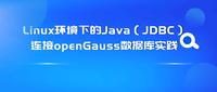 Linux环境下的Java（JDBC）连接openGauss数据库实践 - 知乎