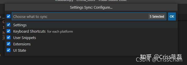 VSCode的同步功能SettingsSync - 知乎