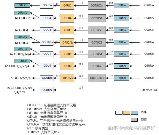 波分OTN业务映射 - 知乎