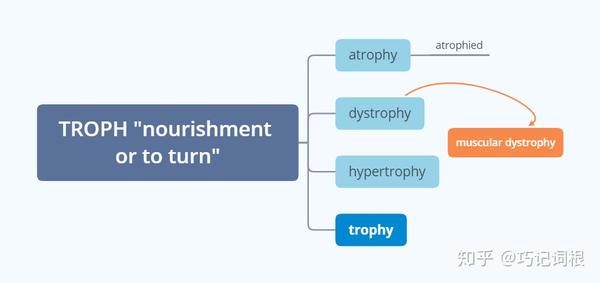 词根系列 | TROPH "nourishment" - 知乎