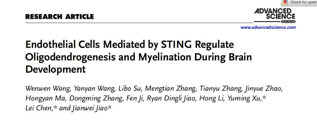 Adv Sci：STING介导内皮细胞调节少突胶质细胞生成和髓鞘形成 - 知乎