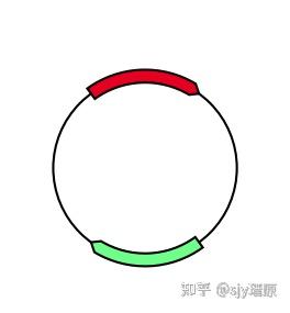 DNA Features Viewer 绘图入门 - 知乎