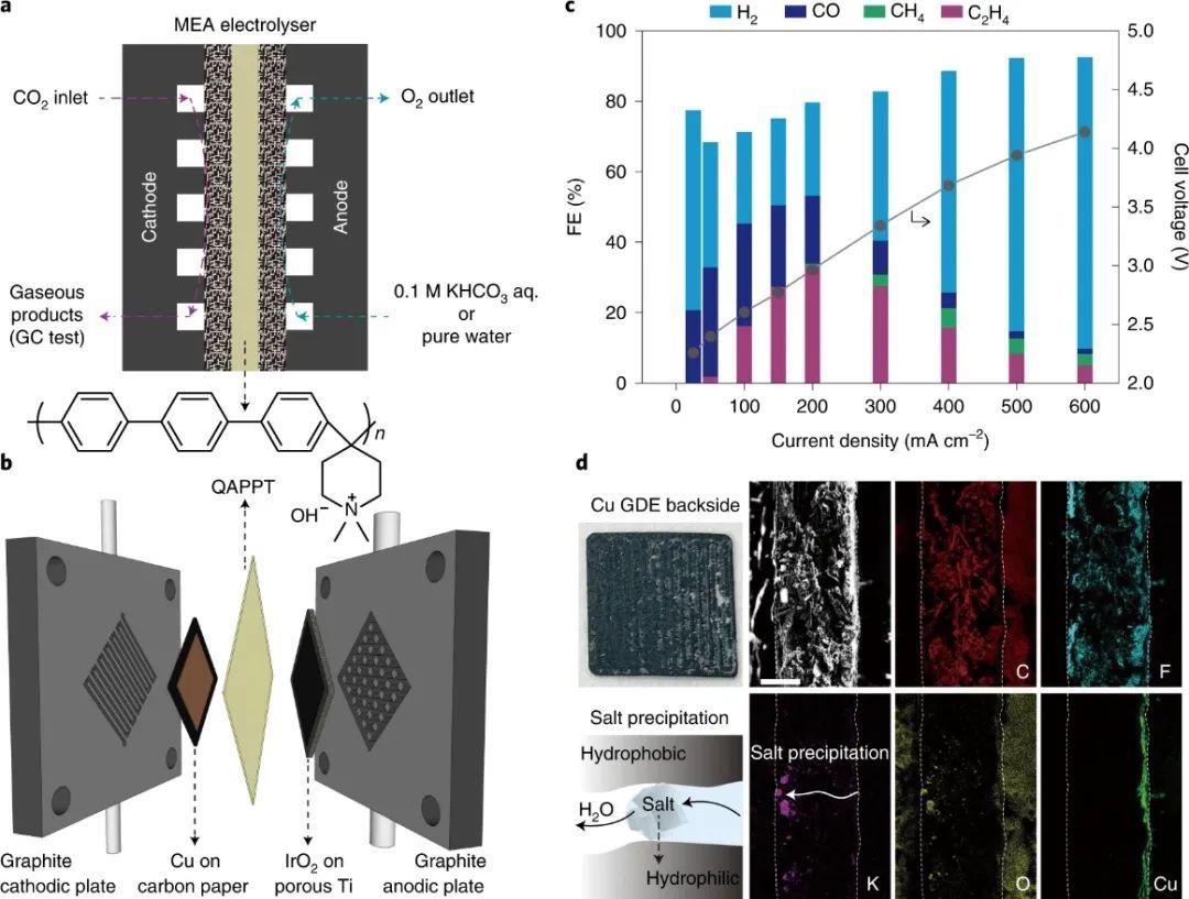 武大庄林&王功伟等人，最新Nature Energy！ - 知乎