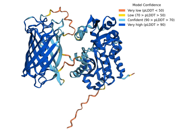 gget alphafold三行命令预测蛋白质三维结构 - 知乎