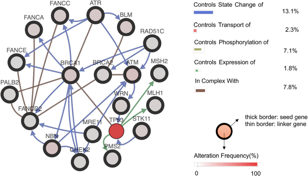 NGS小知识 ‖ 同源重组修复 —— HRR - 知乎