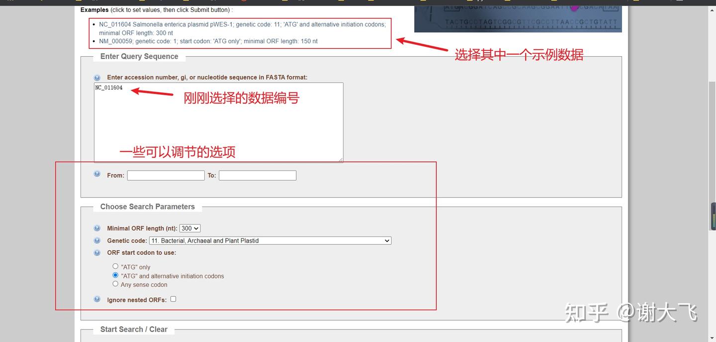 ORF finder 安装与使用 - 知乎