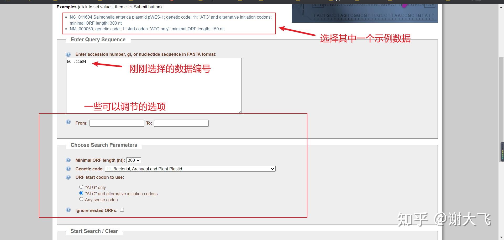 ORF finder 安装与使用 - 知乎
