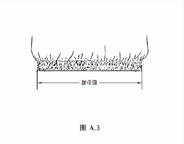 QC验货知识库：服装尺寸测量标准方法 - 知乎