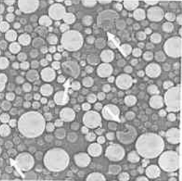中空SiO2二氧化硅/粒径80-100nm/SiO2纳米粒子 - 知乎