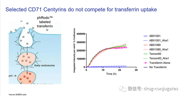 Aro Biotherapeutics：基于Centyrin库的双靶点寡核苷酸药物ABX300 - 知乎