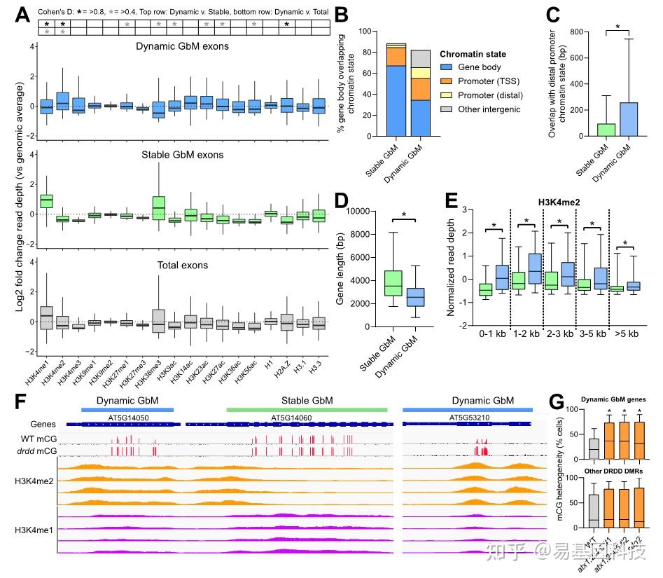易基因：WGBS等揭示植物基因体动态DNA甲基化与基因表达可塑性相关｜Genome Biol - 深圳市易基因科技 - 博客园