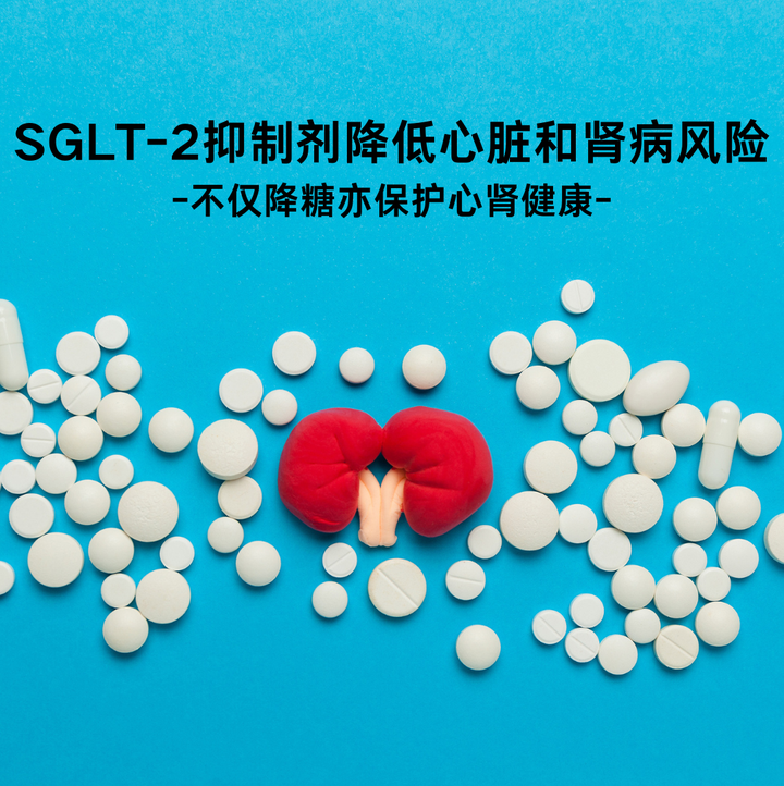 SGLT-2抑制剂降低心脏和肾病风险——不仅降糖亦保护心肾健康 - 知乎