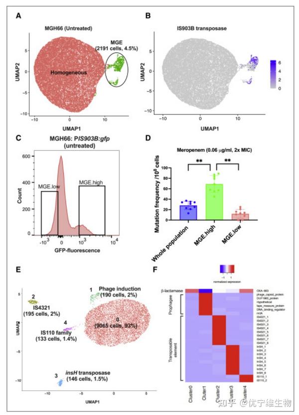 BacDrop单细胞微生物测序方法揭示与抗生素相关的细胞异质性 - 知乎