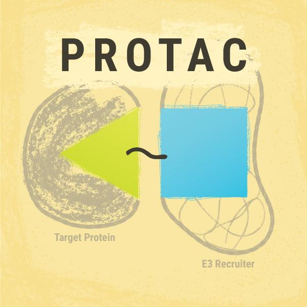 PROTAC技术 - 知乎
