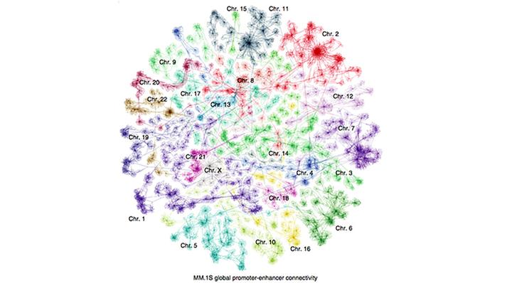 振奋人心的3D基因组技术：GRID-seq探索RNA-DNA相互作用 - 知乎