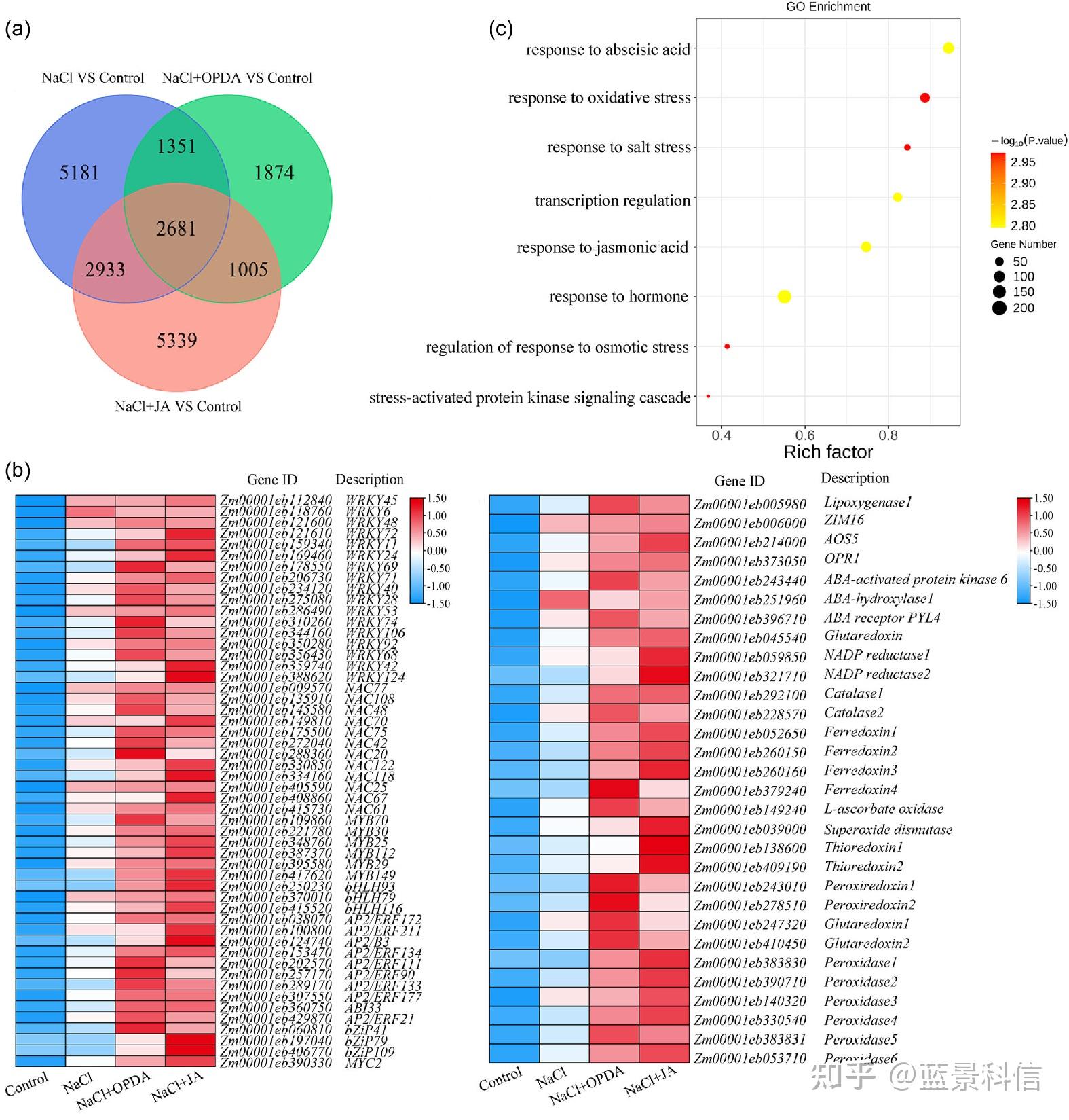 DAP-seq技术在ZmEREB57调控OPDA合成提高玉米耐盐性研究中的应用 - 知乎