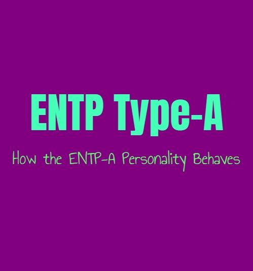 entp-a/entp-t - 知乎