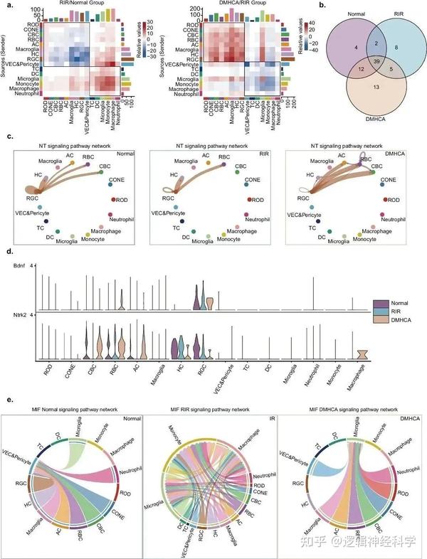 J Neuroinflammation︱中山大学卓业鸿/苏文如团队揭示DMHCA或可有效减轻视网膜缺血/再灌注损伤中神经元死亡和视网膜炎症 - 知乎