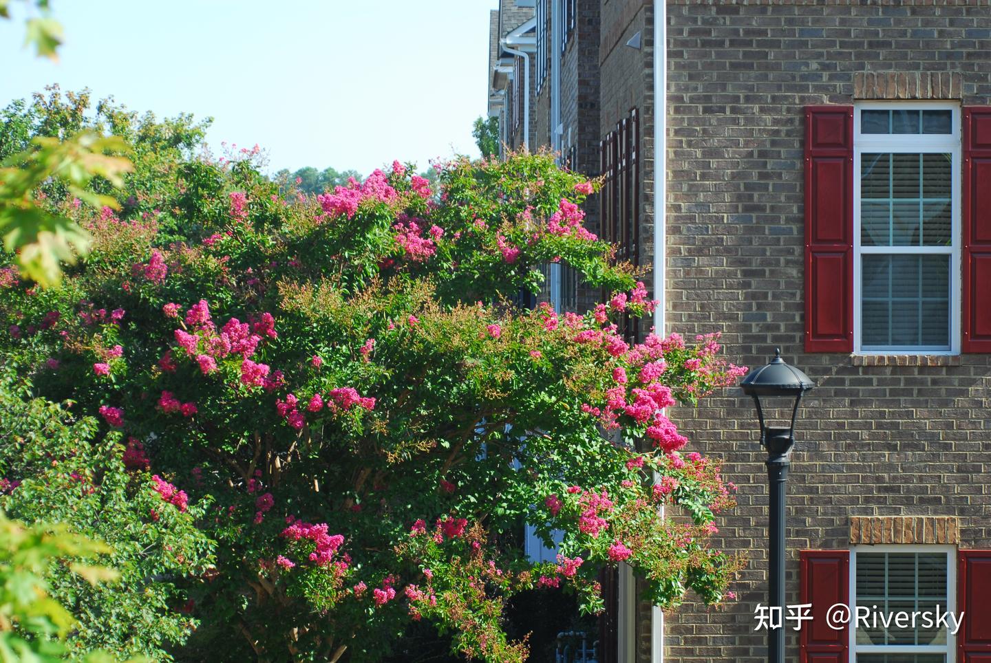 朝花夕拾：尼康末代高端CCD单反相机 - D200 - 知乎