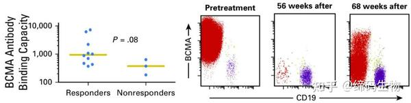 肿瘤免疫靶点 | GPRC5D - 知乎