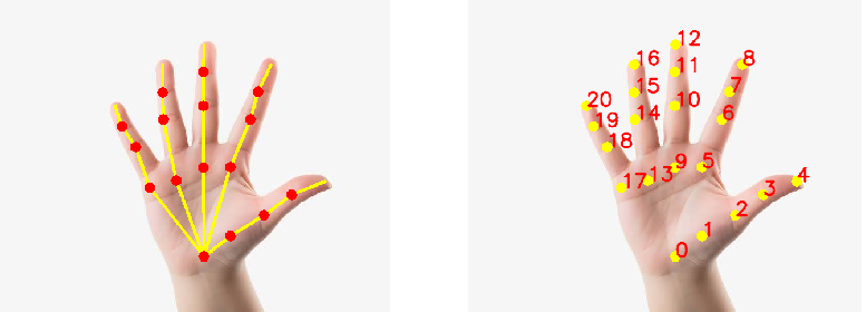 模型转换实战分享：OpenPose手部关键点检测模型的迁移部署 - 知乎