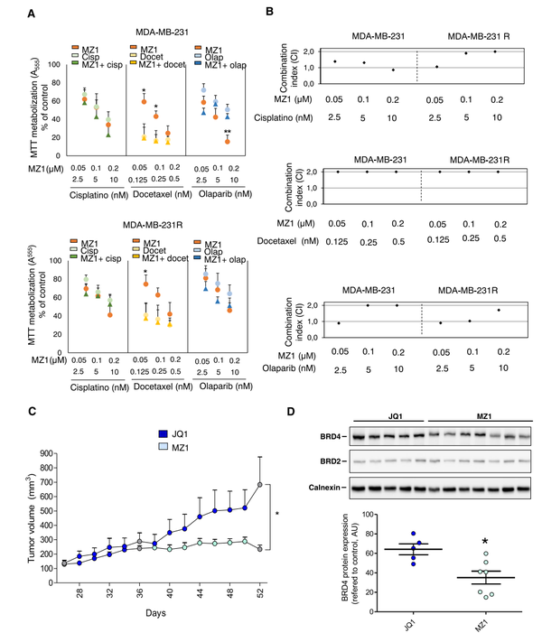 BET 蛋白水解靶向嵌合 (PROTAC) 化合物在三阴性乳腺癌中的活性 - 知乎