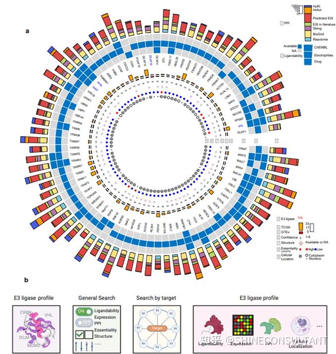 推动PROTAC药物开发新纪元：扩展PROTAC的E3连接酶 - 知乎
