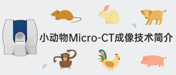 小动物Micro-CT成像技术简介 - 知乎