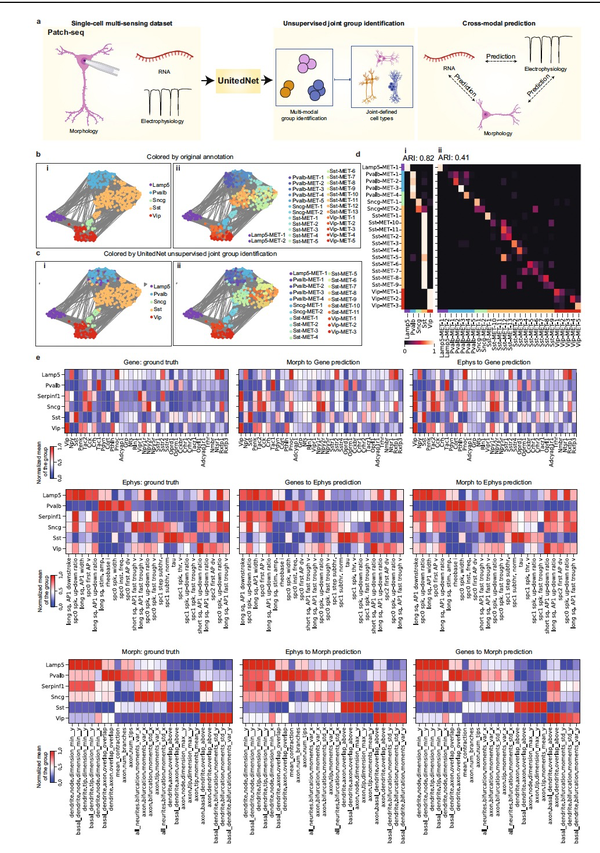 Nat. Commun. |可解释的多任务学习用于多模态生物数据分析 - 知乎