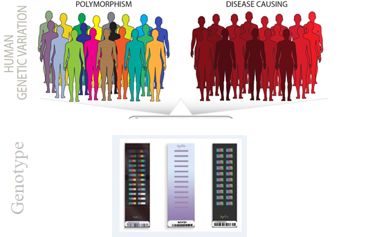 call SNP 流程 - 知乎