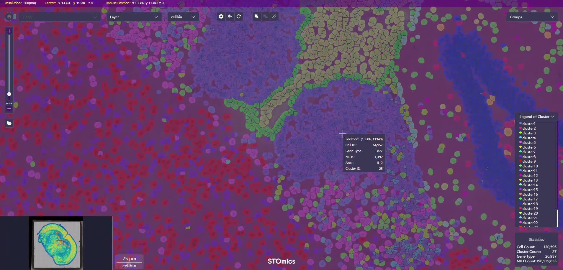 Stereo-seq CellBin多样化场景及结果交互式操作 - 知乎