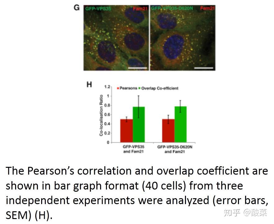 手把手教会荧光共定位分析 - 知乎