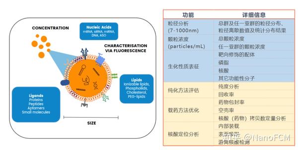 mRNA LNP疗法：这才哪跟哪儿？ - 知乎