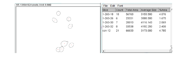 Imagej图像处理实践（ImageJ学习-图像处理 545367350） - 知乎