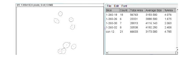 Imagej图像处理实践（ImageJ学习-图像处理 545367350） - 知乎