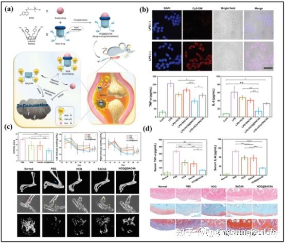 《AHM》综述：药物自给药系统--分子设计、构建策略及生物应用 - 知乎
